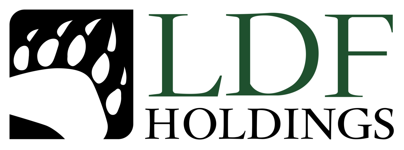 LDF Holdings - LDF BDC